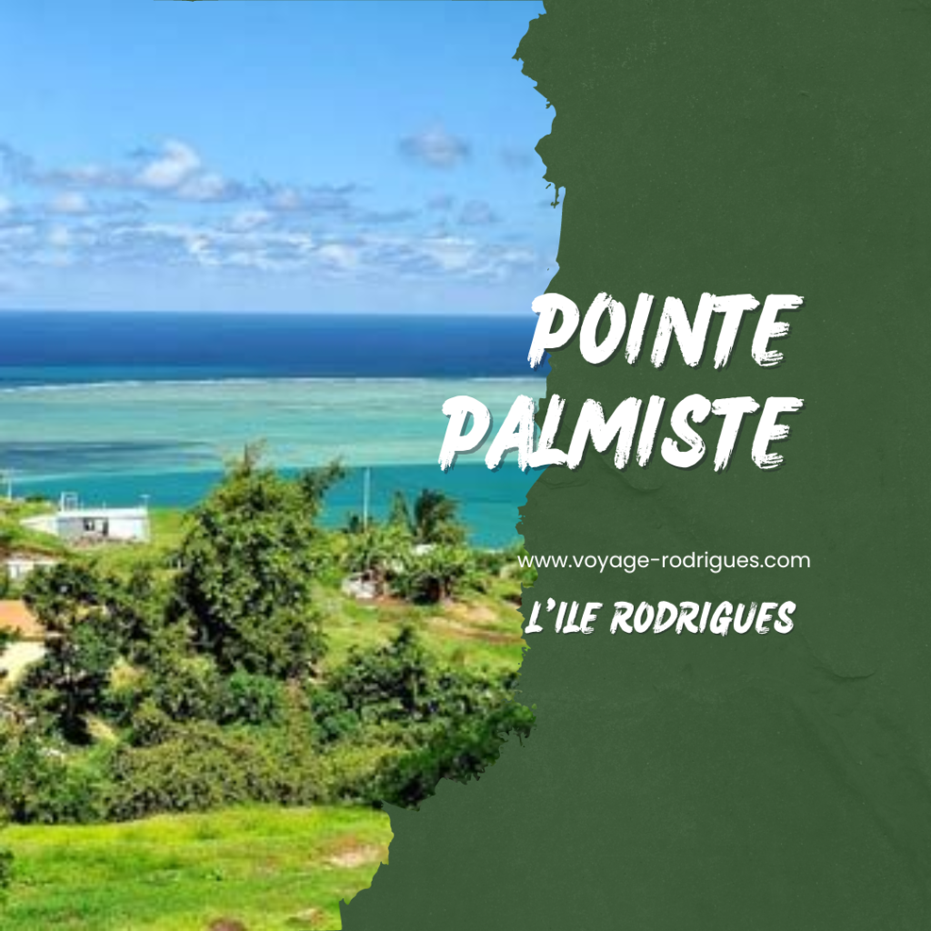Pointe Palmiste - www.voyage-Rodrigues.com